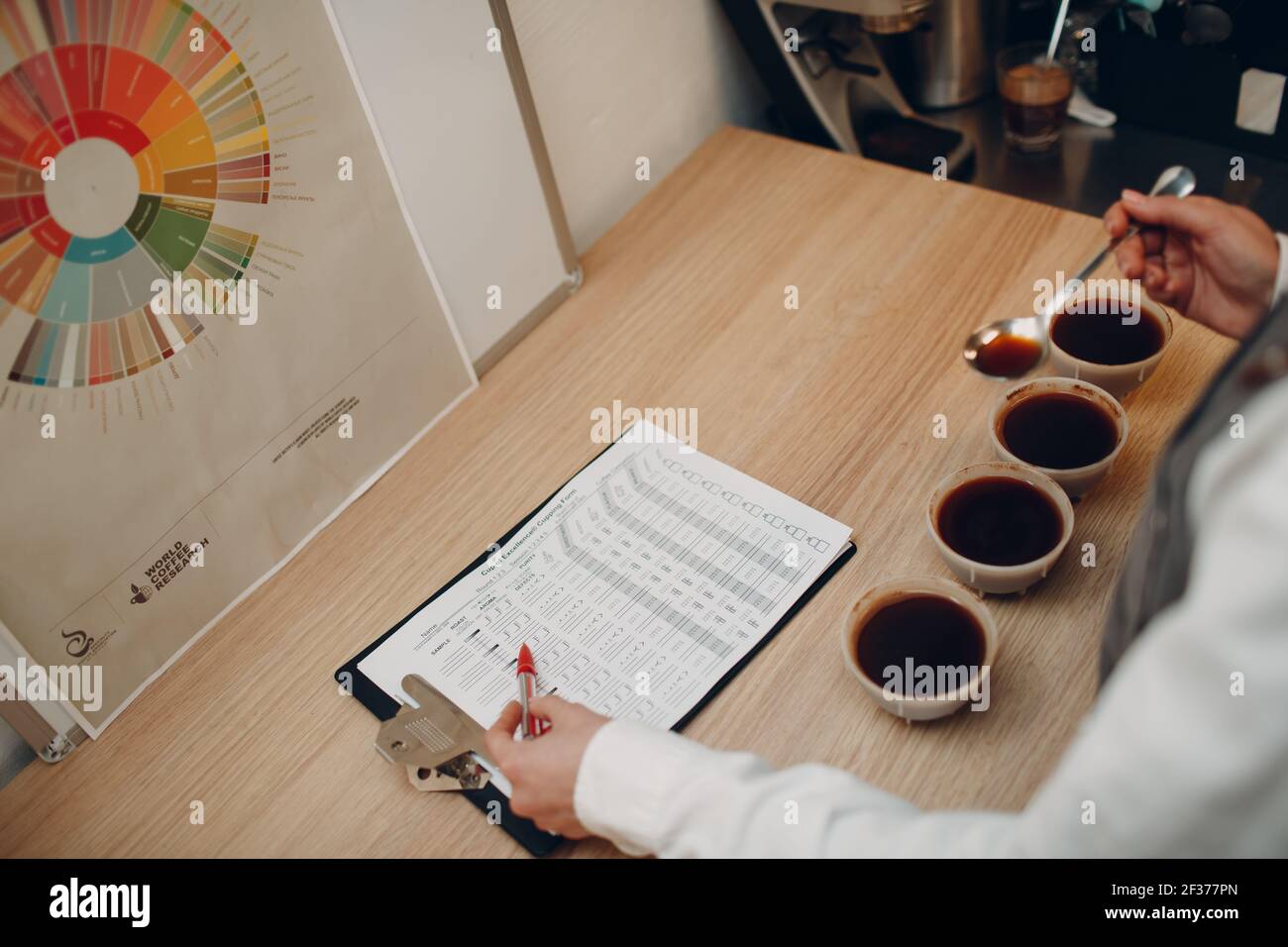 Cup Taster Girl Tasting Degustation Coffee Quality Test. Coffee Samples ...