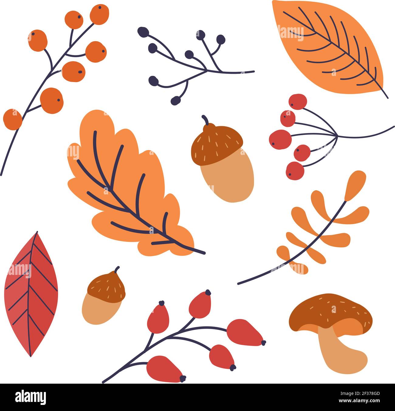 Autumn leaf symbol. Hand drawn vector autumn leaf. Design for poster ...