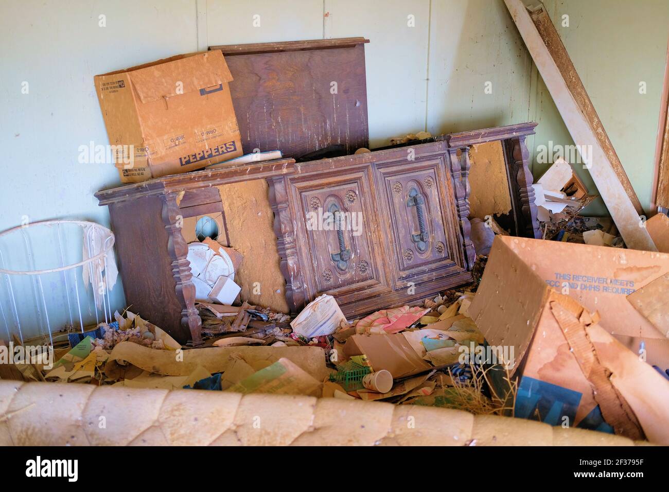 Ransacked Apartment Bones
