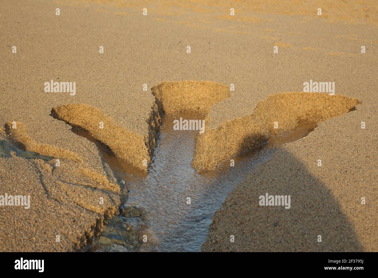 Seep sand hi-res stock photography and images - Alamy