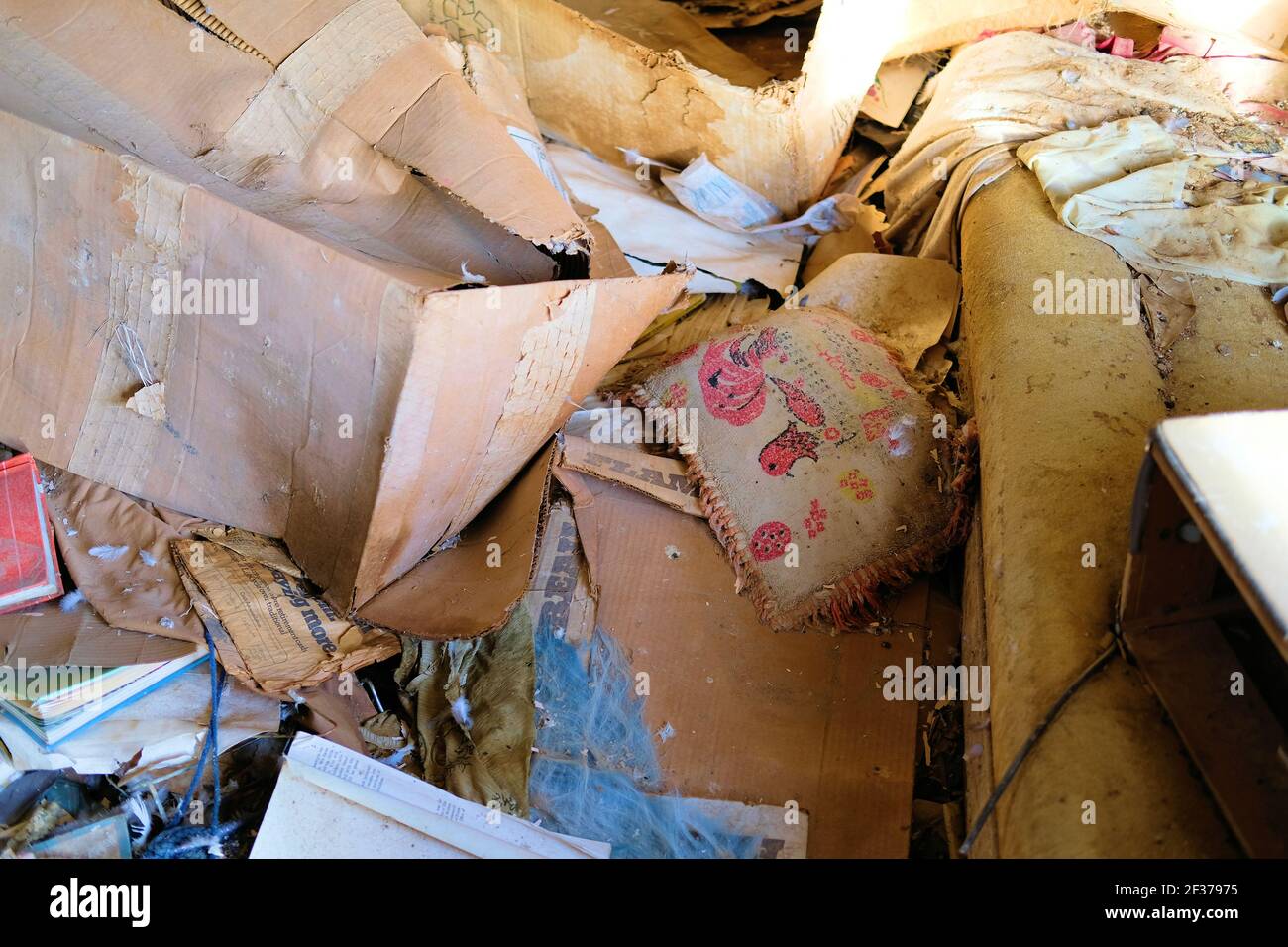 Ransacked Apartment Bones