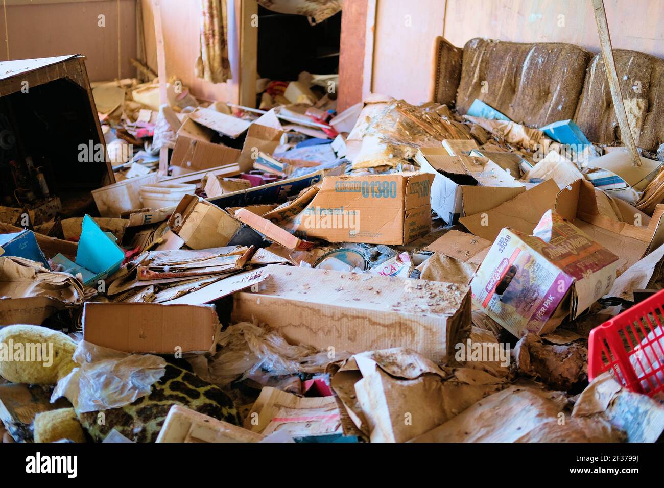 Interior of an abandoned home in the Arizona desert, near Roll and Wellton, Arizona USA ...