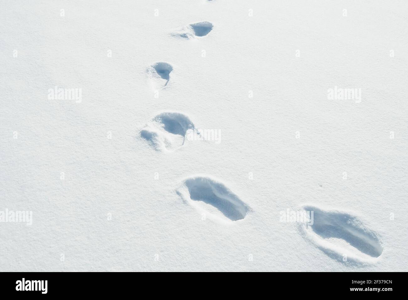abstract white snowflake wallpaper with footprints Stock Photo - Alamy