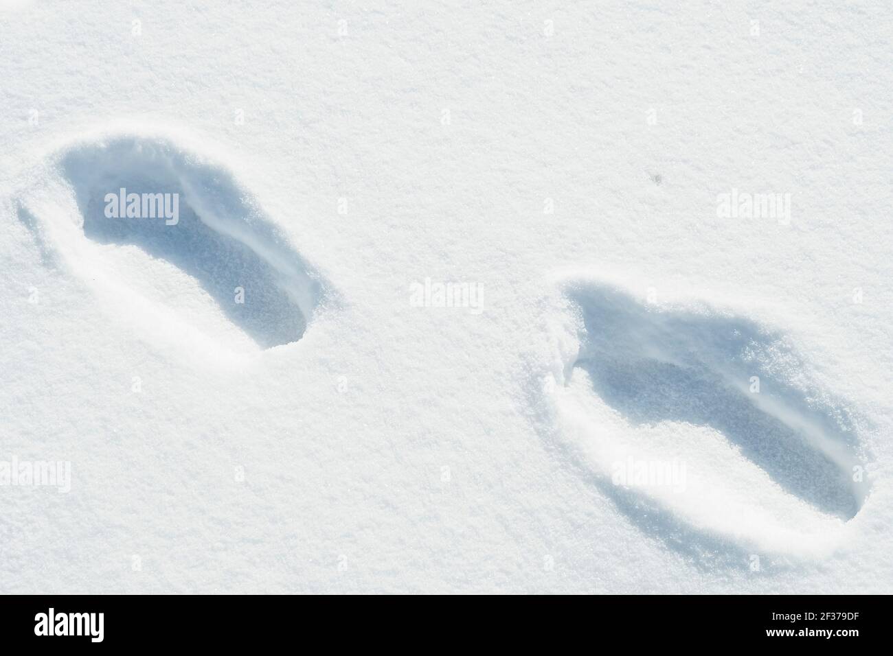 abstract white snowflake wallpaper with footprints Stock Photo - Alamy