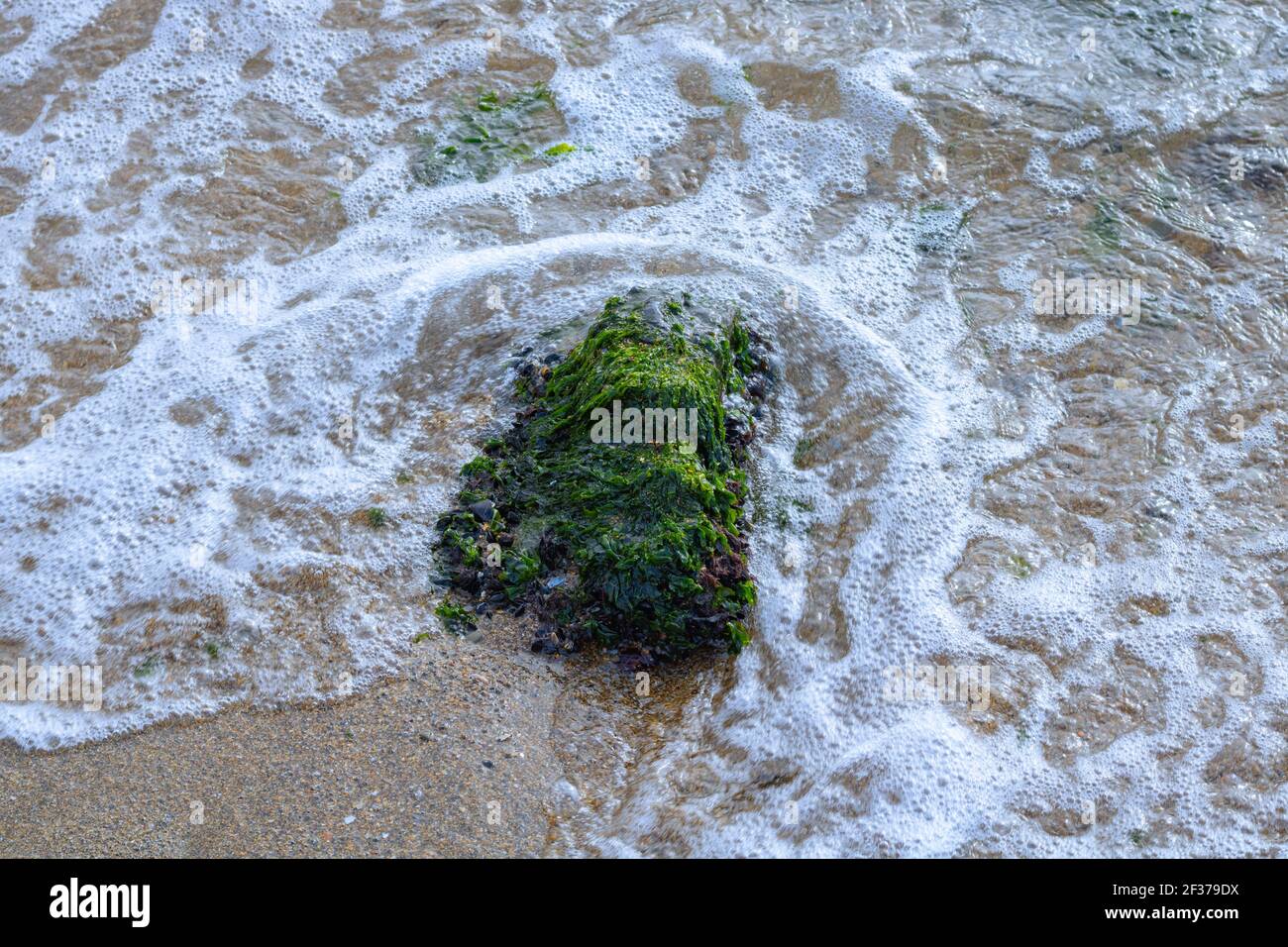 moss covered rock on the seashore and wavy sea. Waves hit the rocks on ...