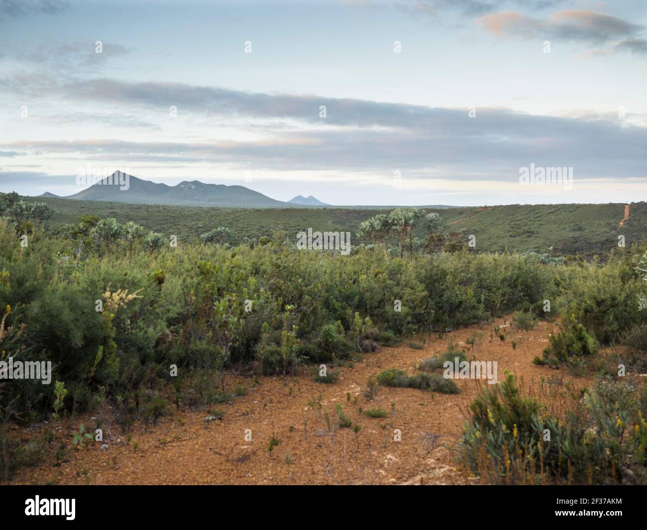 Barren landscape australia hi-res stock photography and images - Alamy