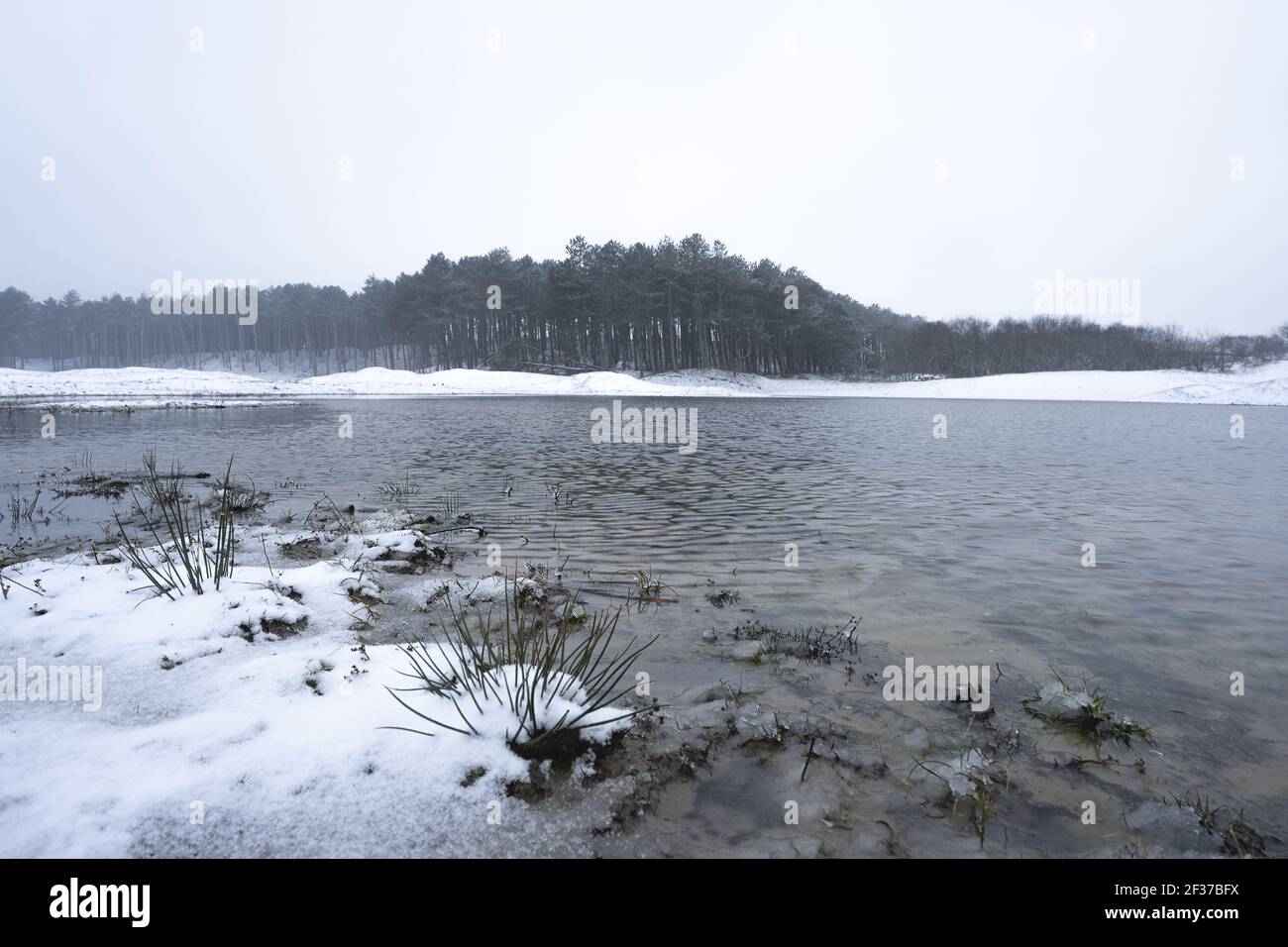 A landscape of a pond surrounded by forests covered in the snow under a ...