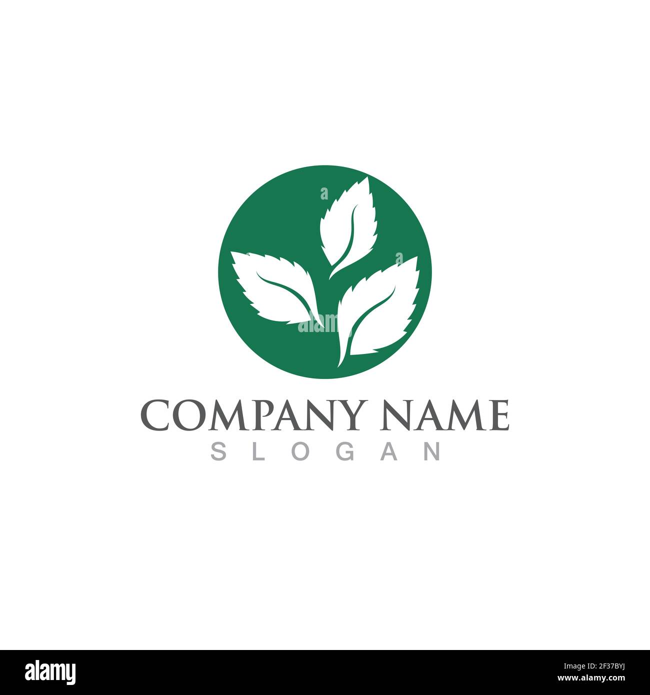 Peppermint leaf Stock Vector Images - Alamy