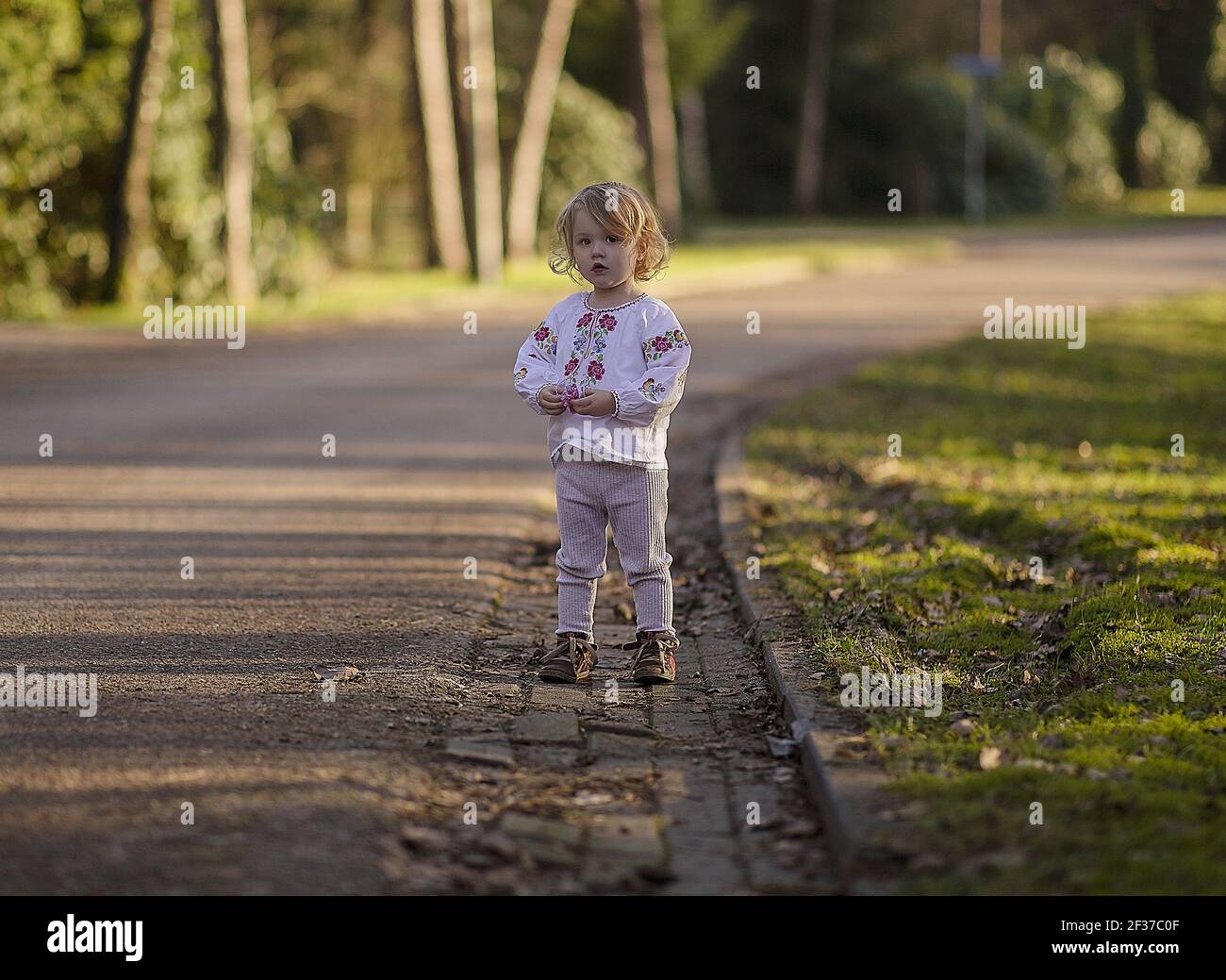 A little Dutch girl standing on the pathway in the park Stock Photo - Alamy