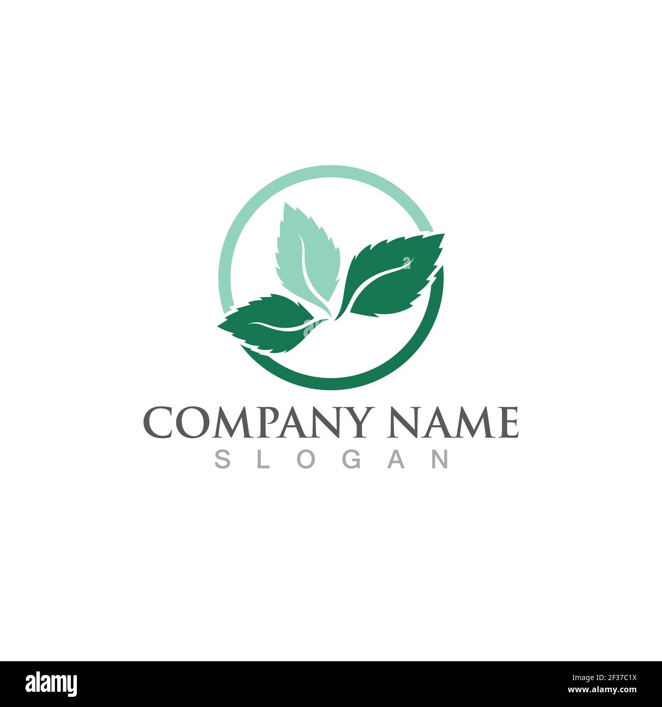 Mint Logo Design