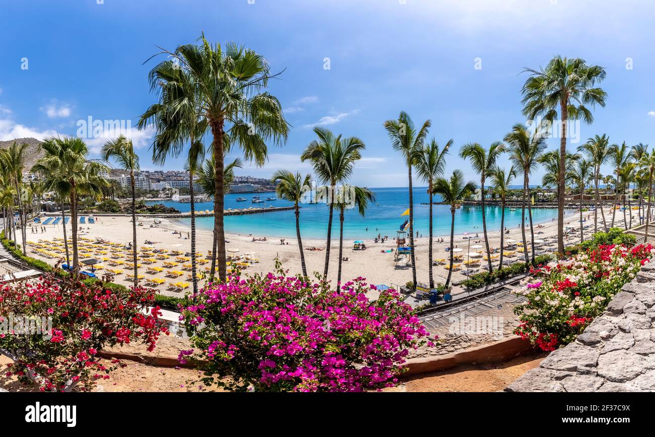 Landscape with Anfi beach and resort, Gran Canaria, Spain Stock Photo ...