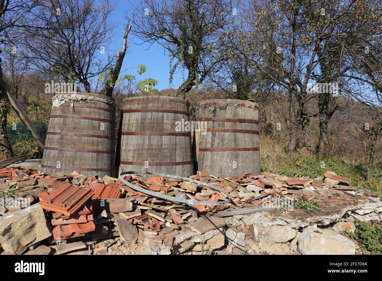 Wooden oak barrels for brandy and wine in the yard Stock Photo - Alamy