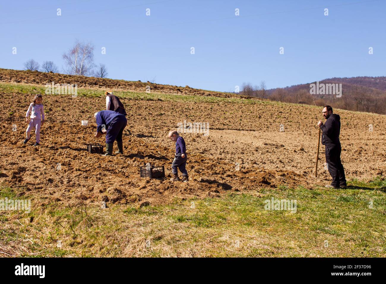 The help of little helpers is priceless Stock Photo - Alamy