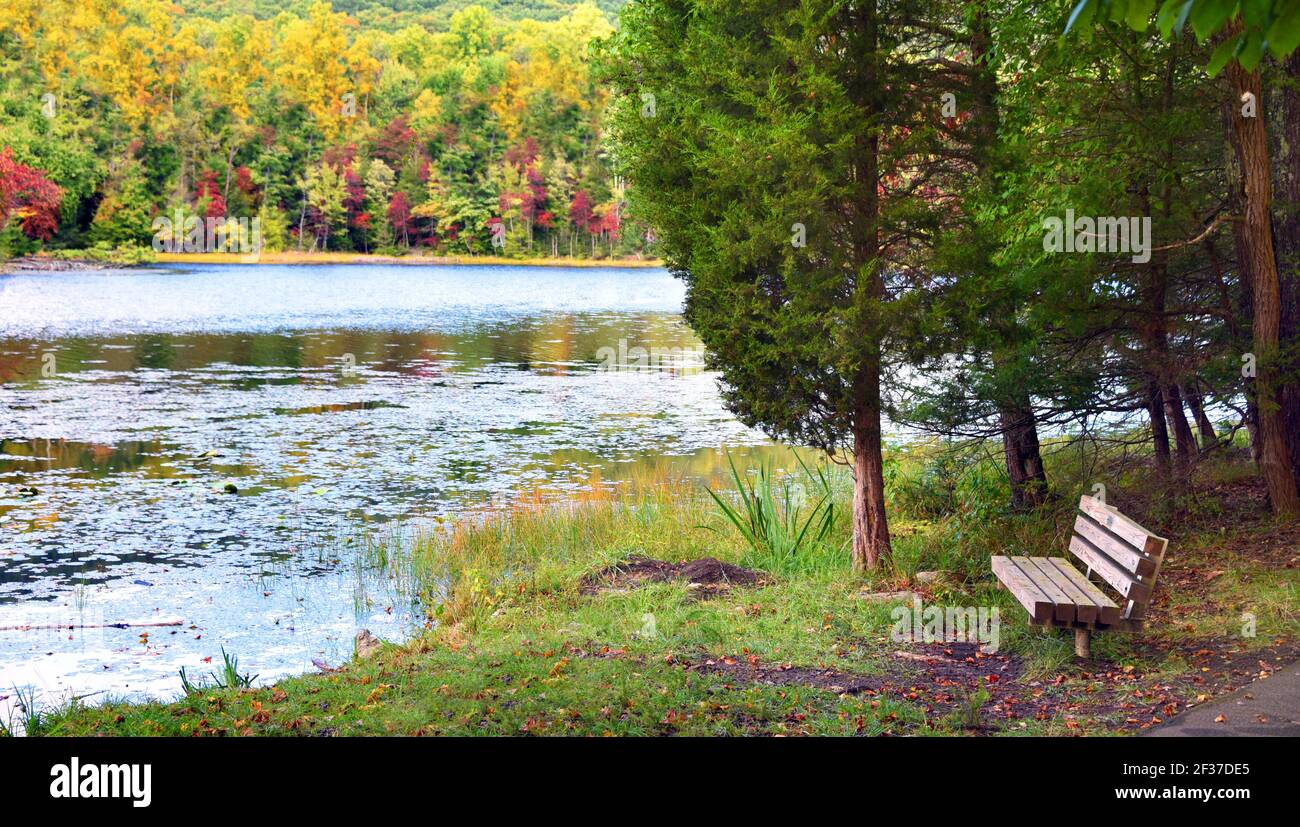 Secluded park bench hi-res stock photography and images - Alamy