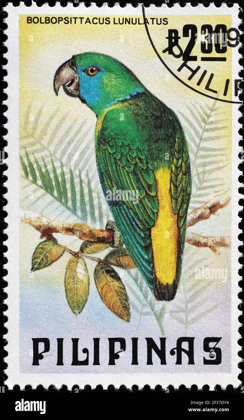 Guaiabero, philippine endemic parrot on postage stamp Stock Photo - Alamy
