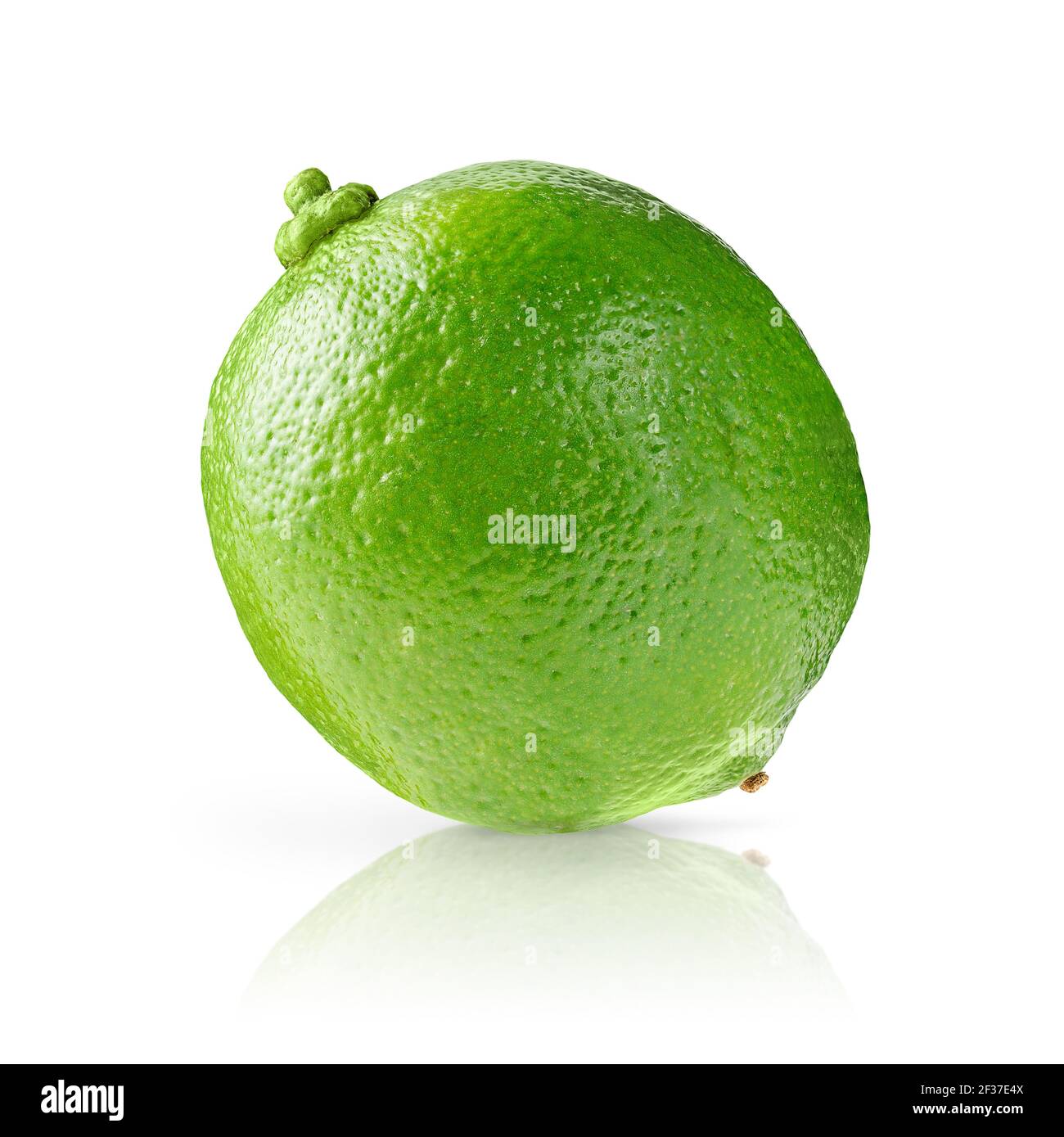 Single green lime isolated on white background Stock Photo - Alamy