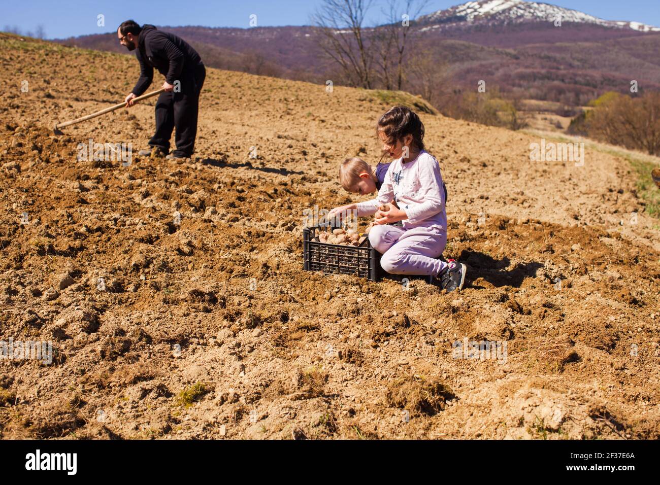 The help of little helpers is priceless Stock Photo - Alamy