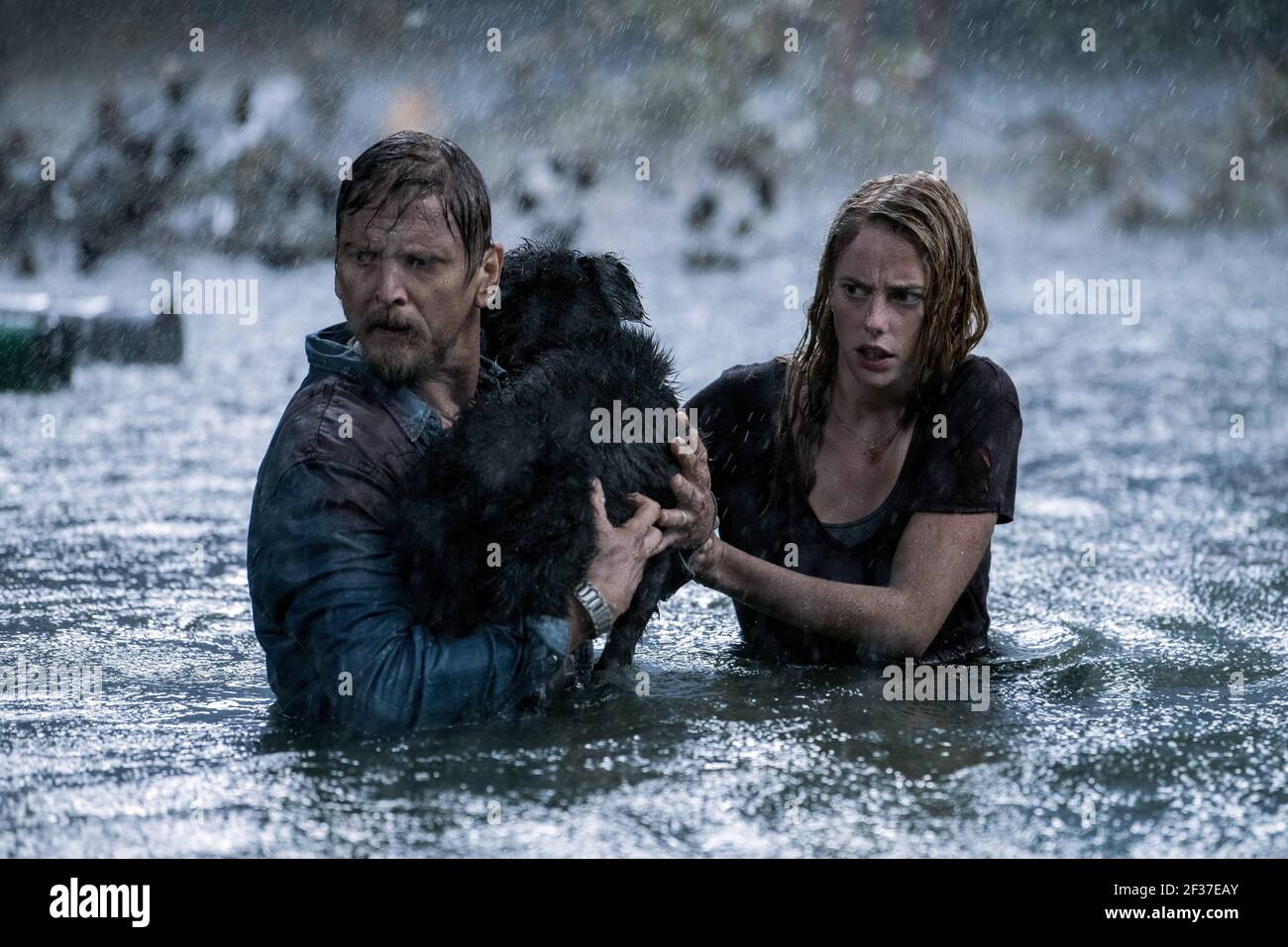 Barry Pepper High Resolution Stock Photography and Images - Alamy