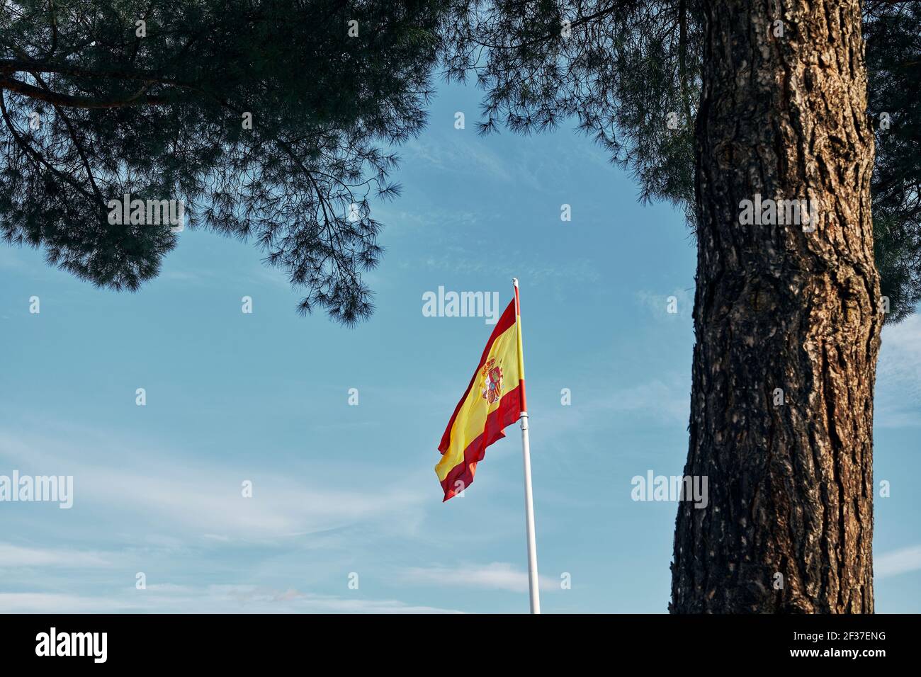 Spanish flag near tree in park Stock Photo - Alamy