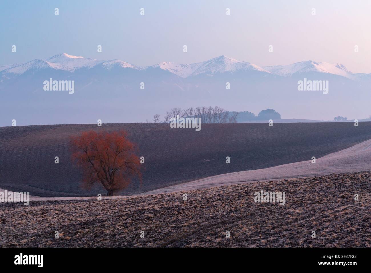 Rural landscape of Turiec region in northern Slovakia Stock Photo - Alamy