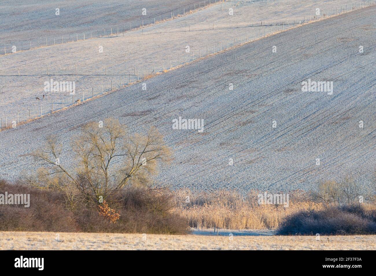 Rural landscape of Turiec region in northern Slovakia Stock Photo - Alamy