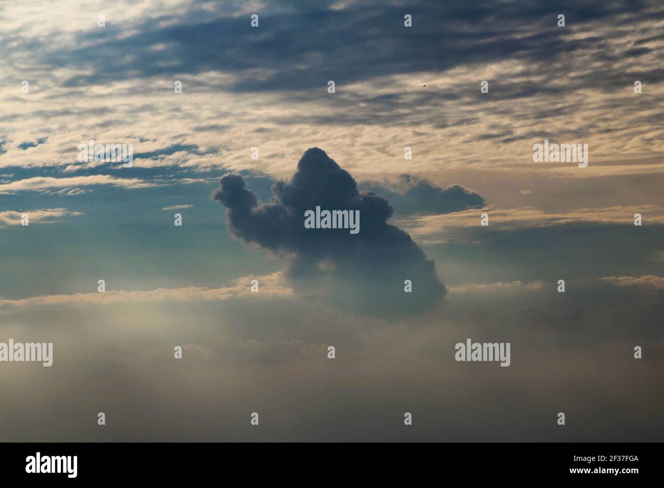 Elephant Shaped Cloud Seen from the Sky Stock Photo - Alamy
