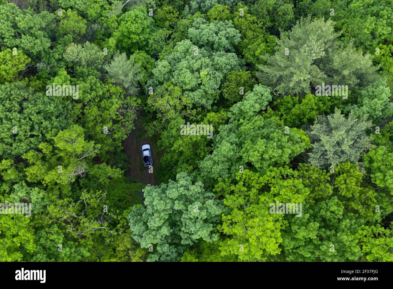 Pennsylvania forest road hi-res stock photography and images - Alamy