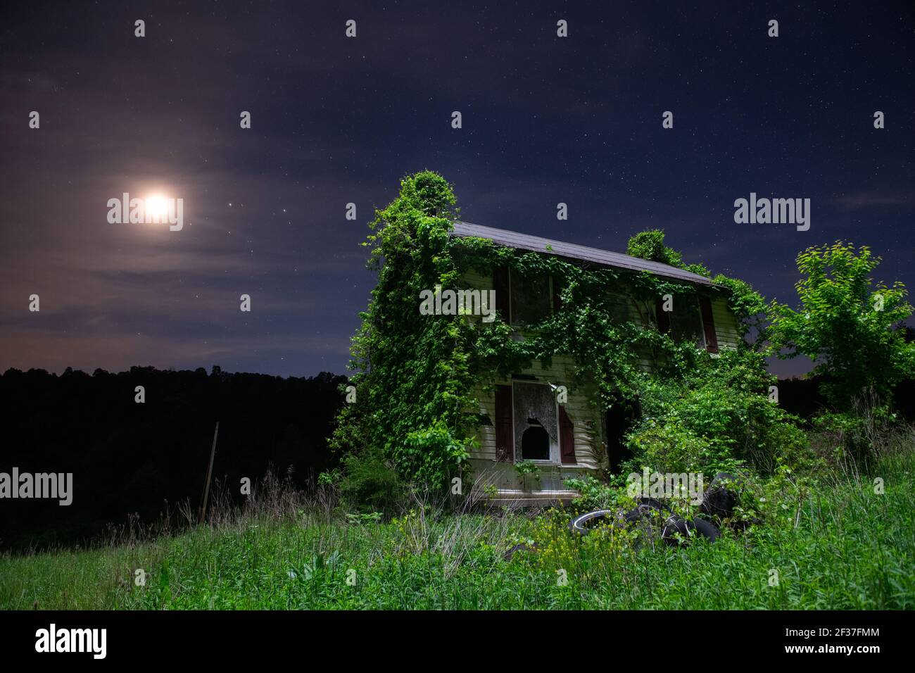 Kudzu hi-res stock photography and images - Alamy