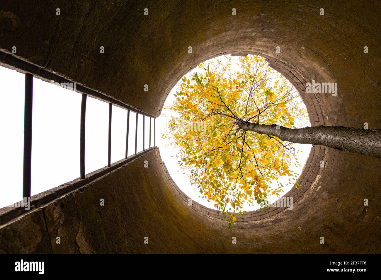 A Tree Grows Up Through a Tall Abandoned Silo Stock Photo - Alamy
