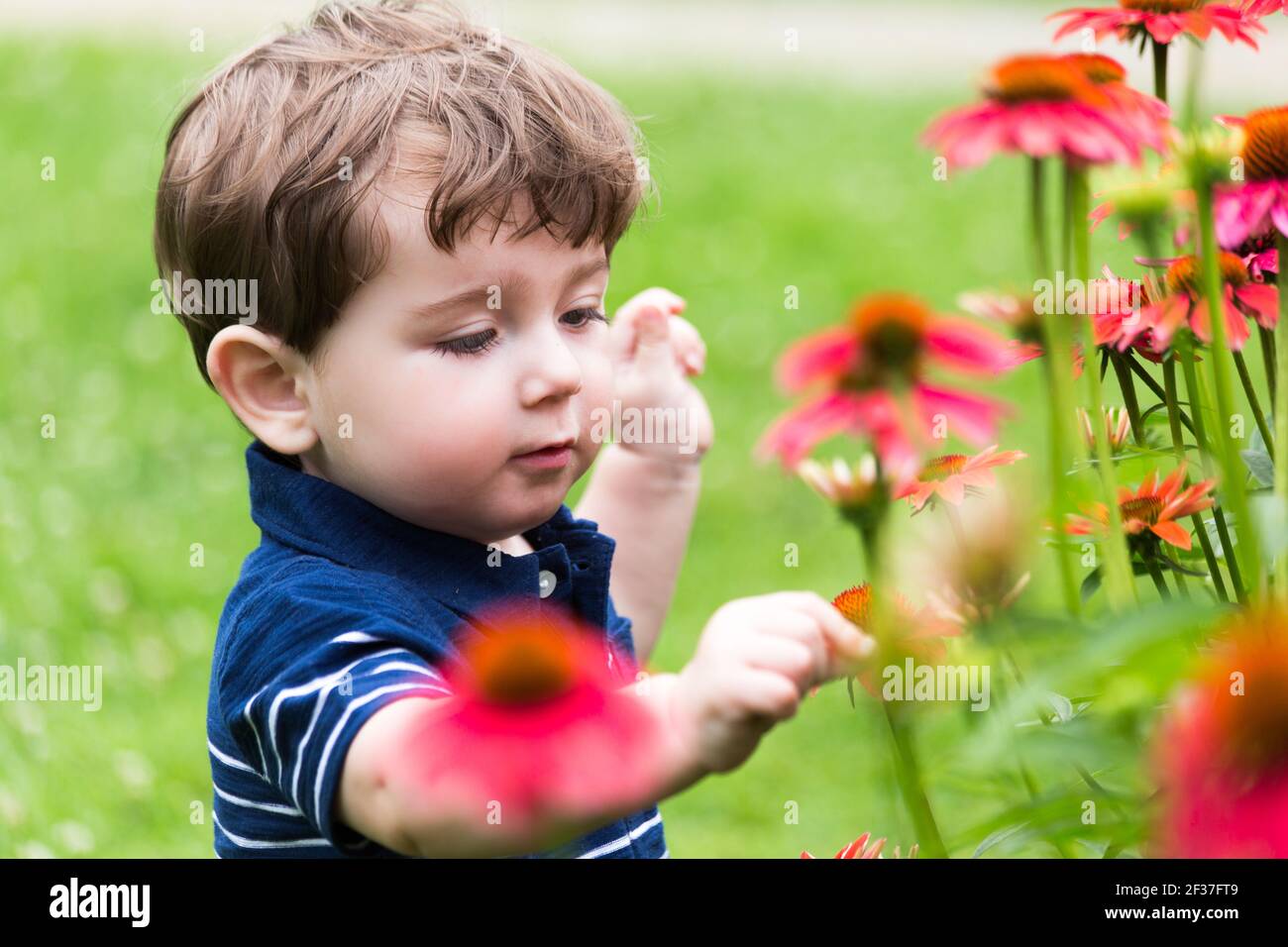 Little boy flower hi-res stock photography and images - Alamy