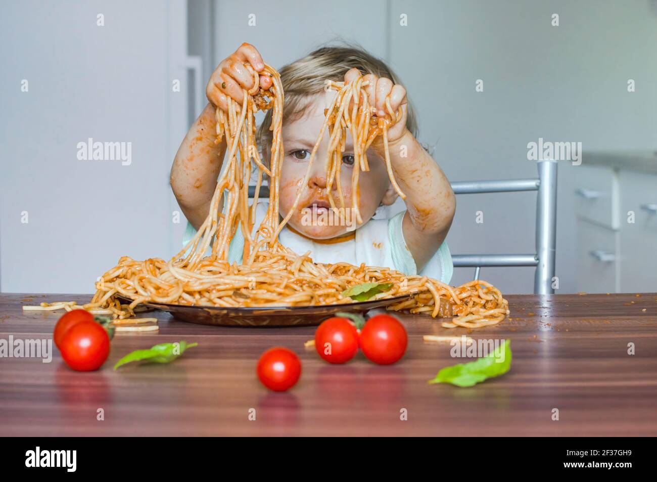 Messy Eating Memes Dogs Are Messy Eaters Messy GIF Messy Dogs Dog