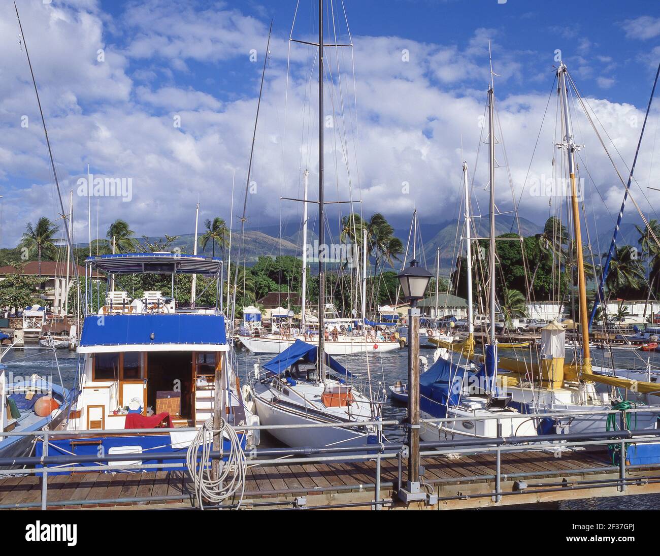 Waterfront Marina at Lahaina, West Maui, Maui, Hawaii, United States of ...