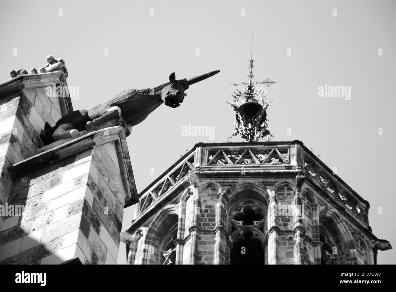 Barcelona cathedral. Unicorn gargoyle and bell tower at background ...
