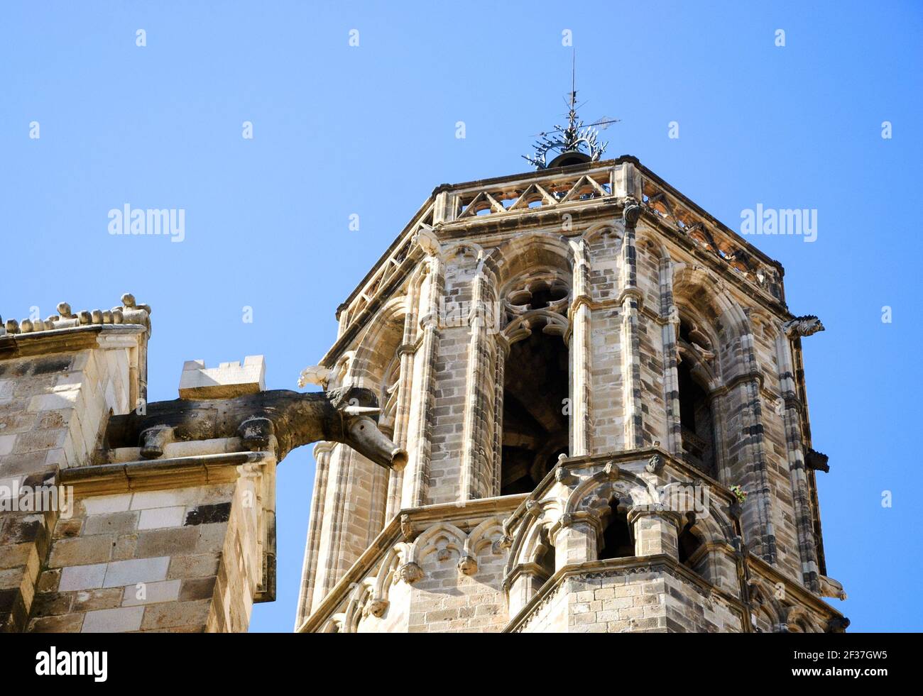 Barcelona cathedral. Elephant gargoyle and bell tower at background ...