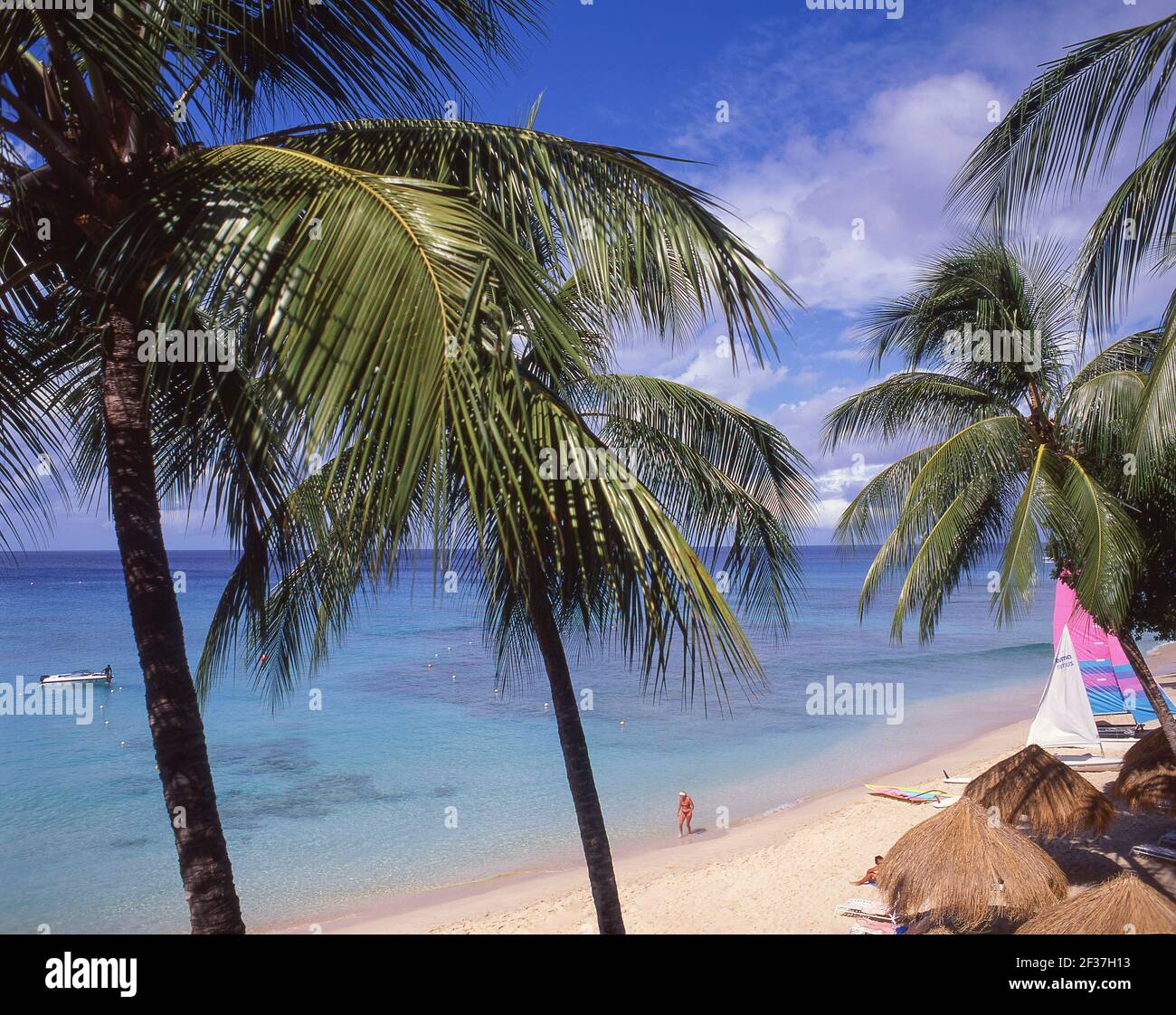 Beach view, Tamarind Cove, Barbados, Lesser Antilles, Caribbean Stock ...