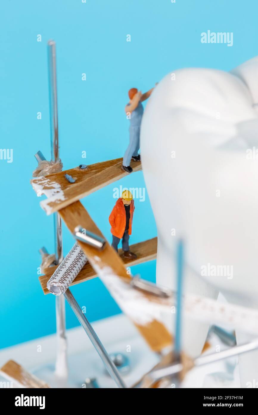 Moscow, Russia - 9th Matra 2021: A model of a human tooth and an art ...