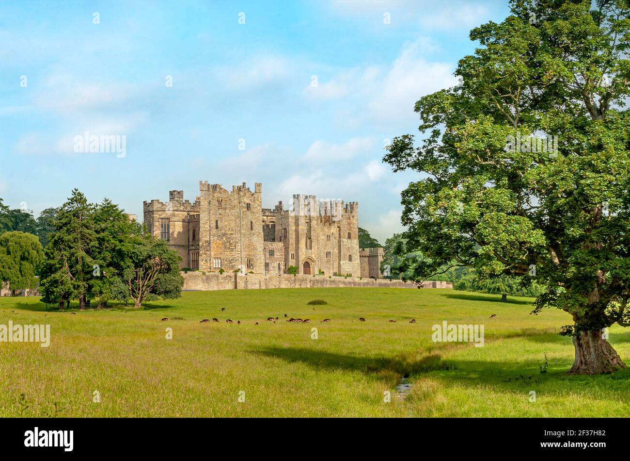 Raby Castle near Staindrop in County Durham in England Stock Photo - Alamy