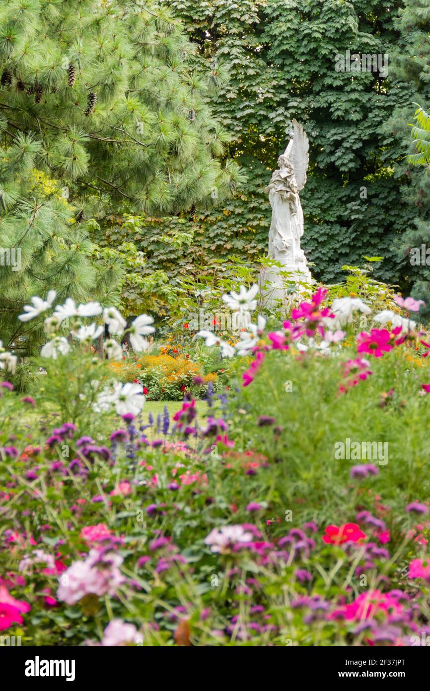 Beautiful and colorful flowers with the statue of an angel as ...