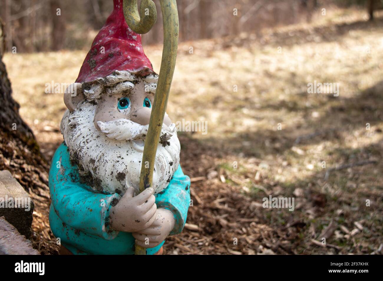 Autumn gnome hi-res stock photography and images - Alamy