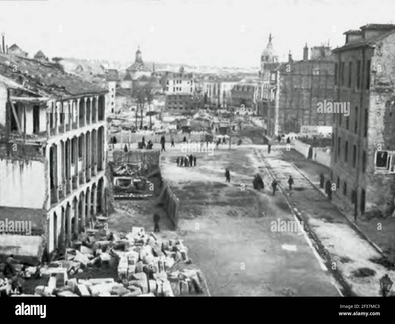 Primer gran hi-res stock photography and images - Alamy