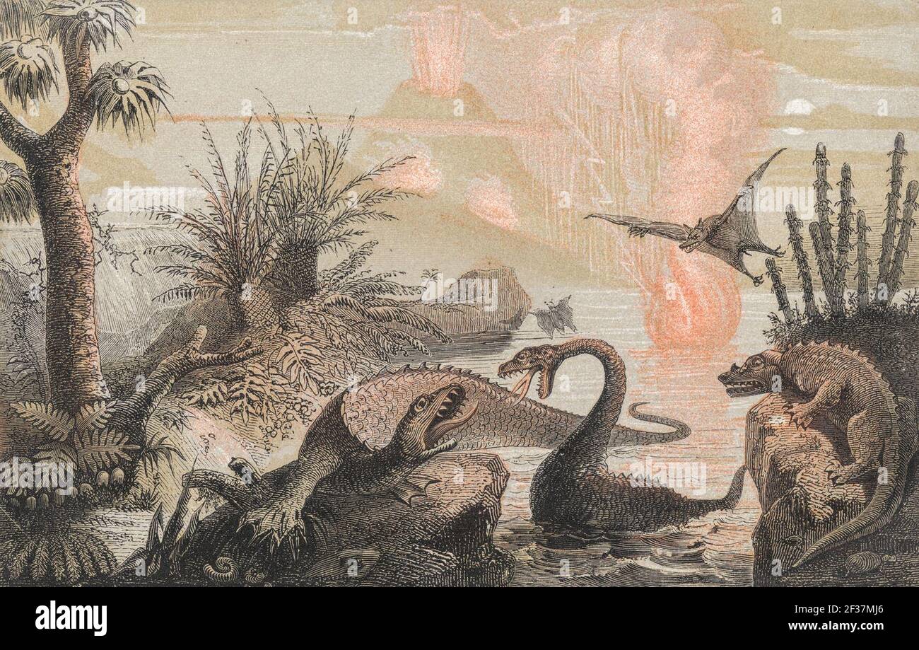 Primitive World by Adolphe François Pannemaker (1857 Stock Photo - Alamy