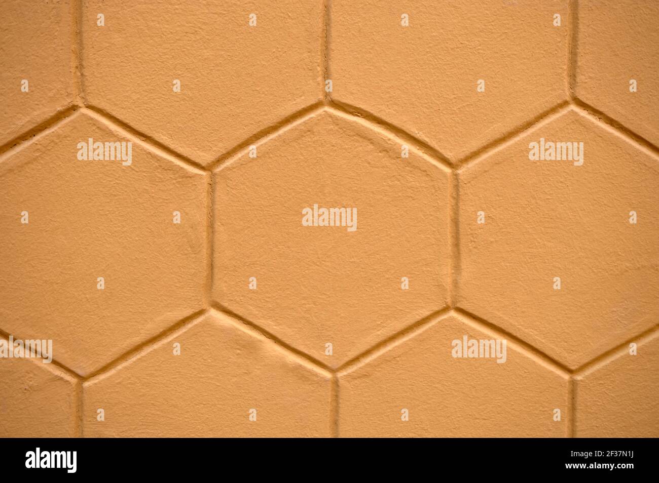 Hexagonal forms hi-res stock photography and images - Alamy