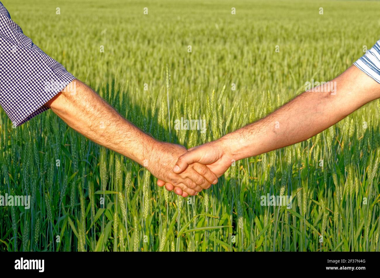 Farmer and businessman shake hands hi-res stock photography and images ...