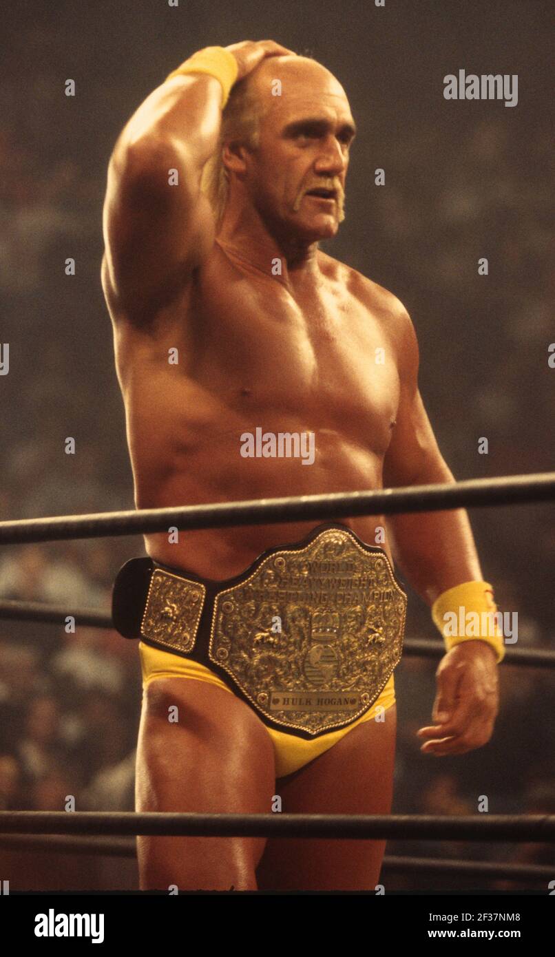 Hulk Hogan 1993 Photo By John Barrett/PHOTOlink Stock Photo - Alamy