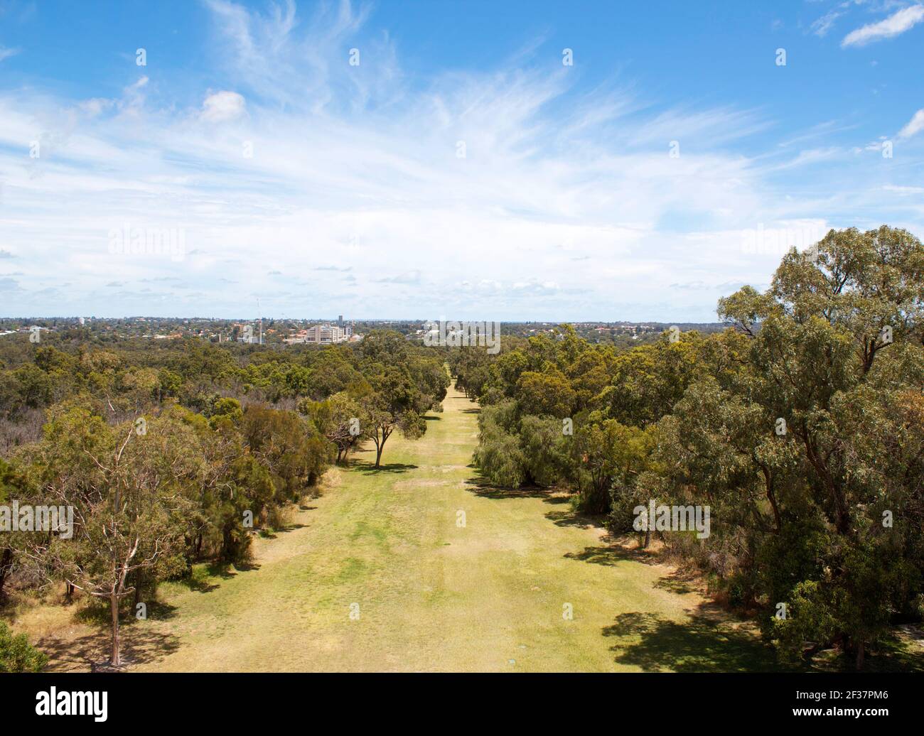 park with trees in perth, western australia Stock Photo - Alamy