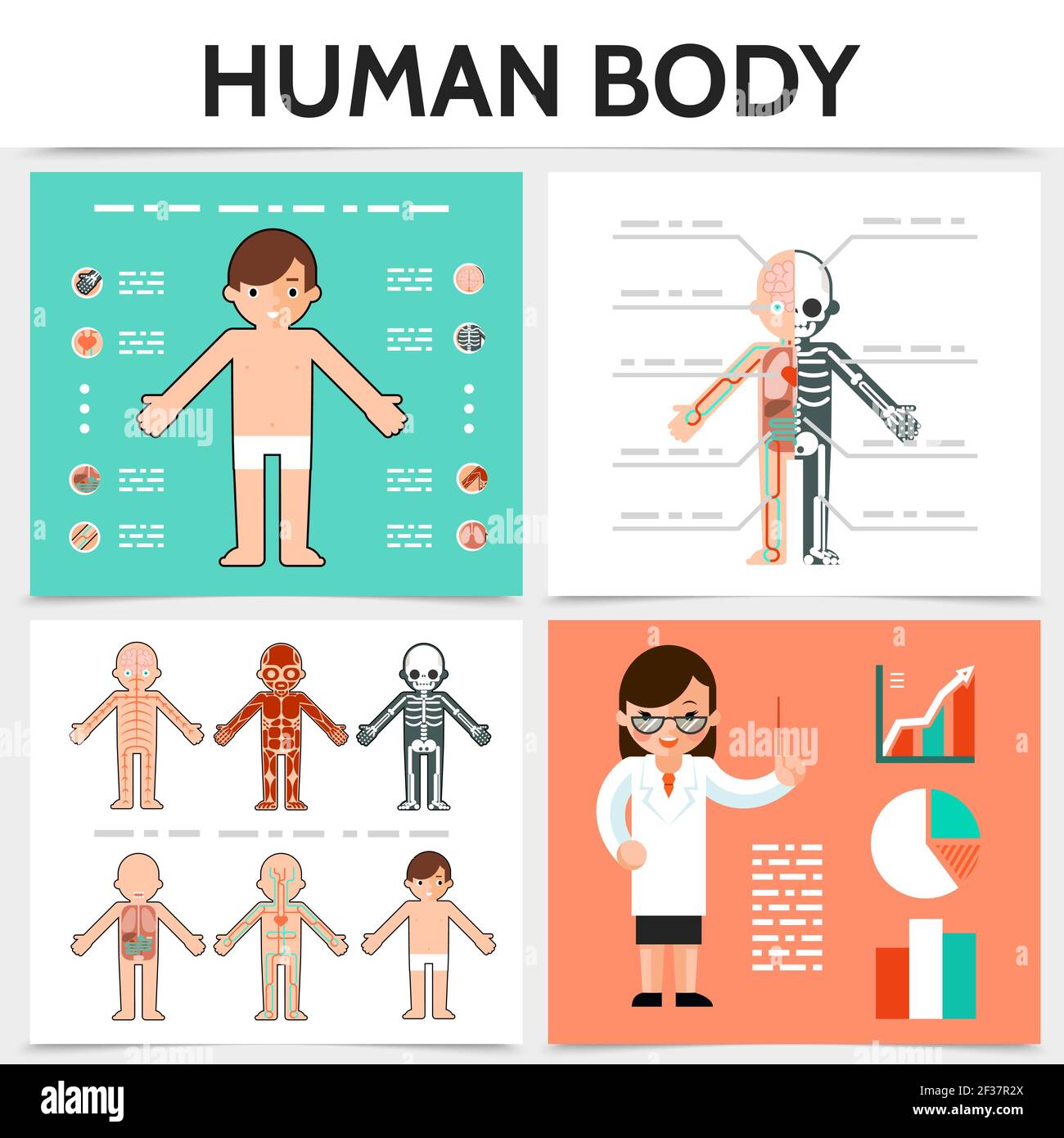Flat human anatomy square concept with internal organs skeletal ...