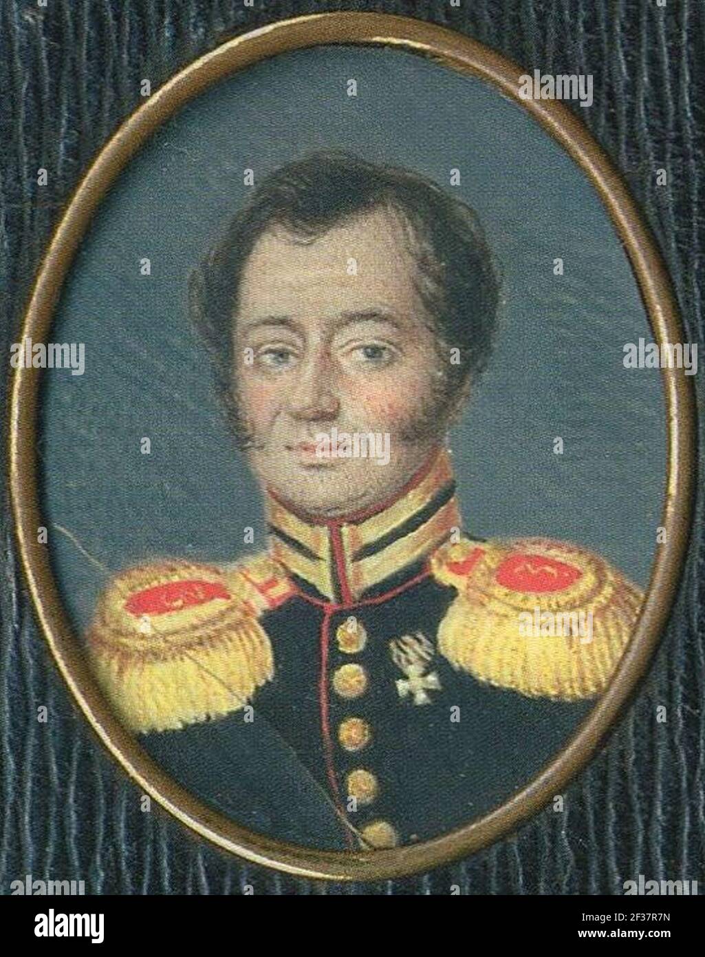 Prince Stepan Alexeevich Kropotkin Stock Photo - Alamy
