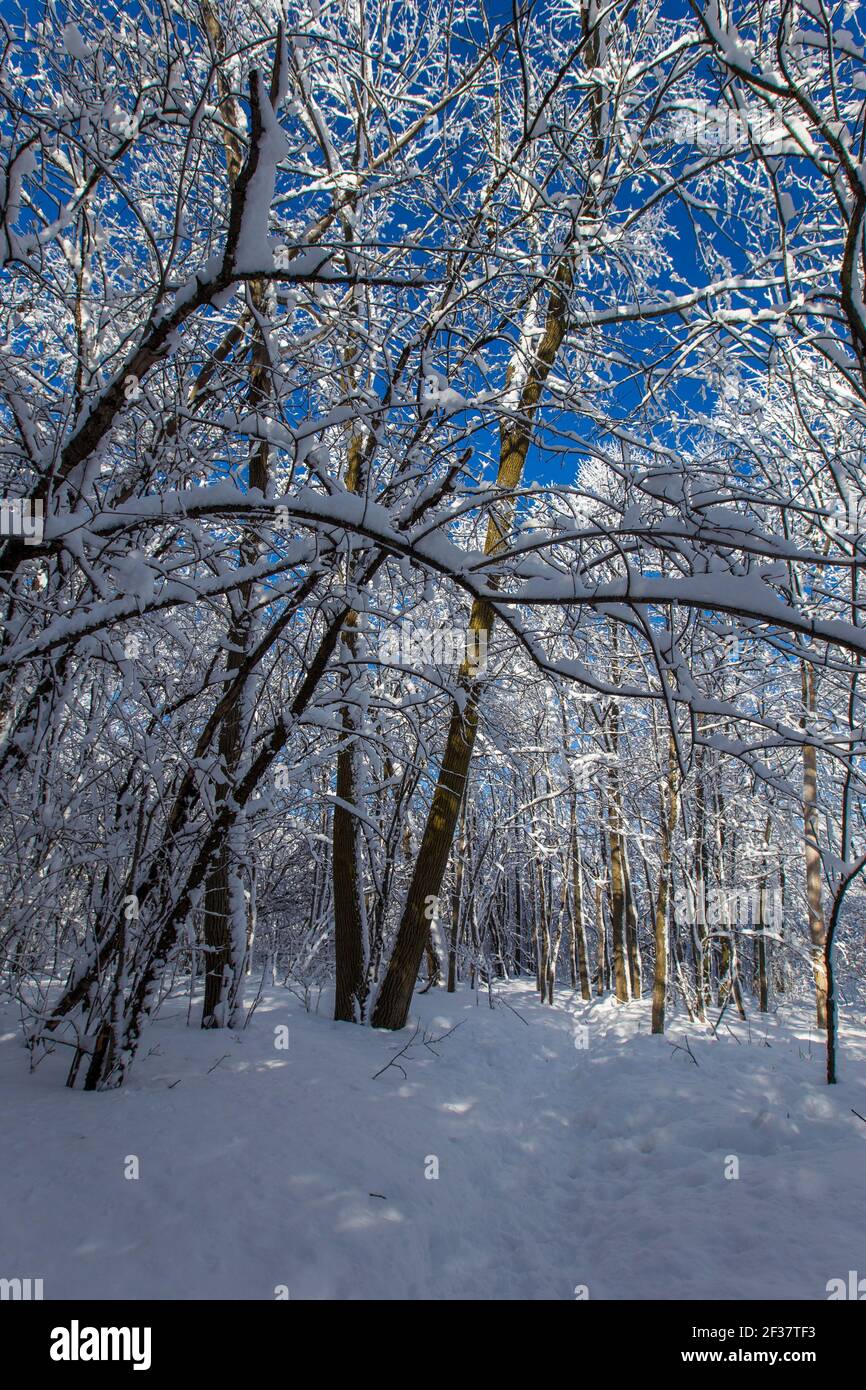 Spectacular winter landscape in Quebec, Canada Stock Photo - Alamy