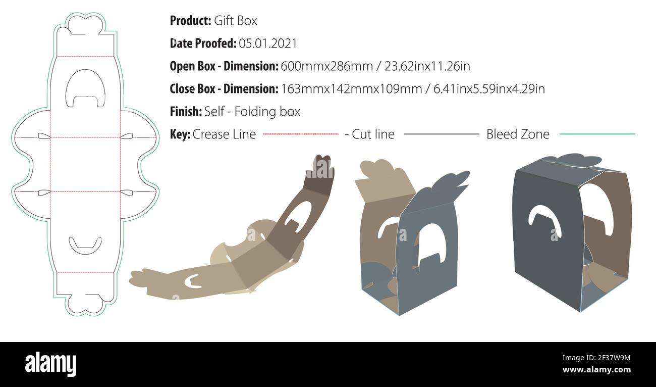 Gift box for many products die cut template vector Stock Vector Image ...