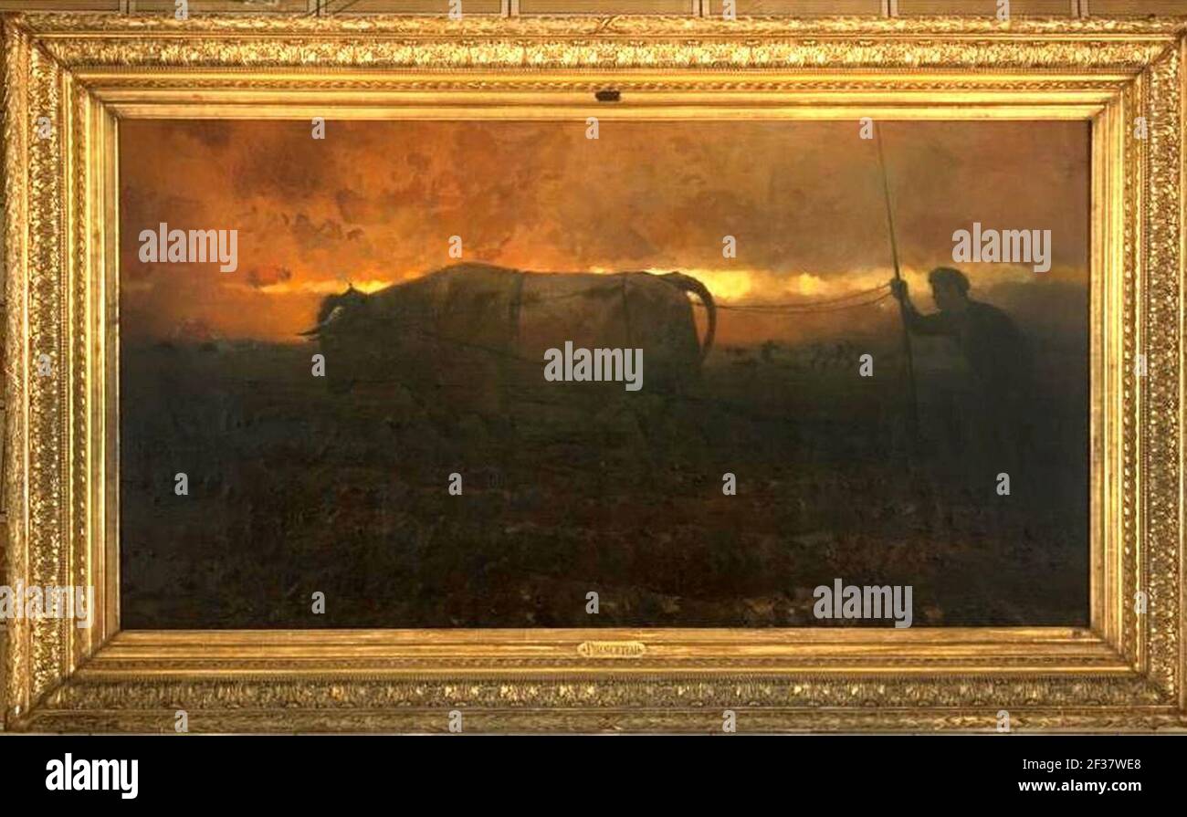 Princeteau René - Boeuf labourant Stock Photo - Alamy